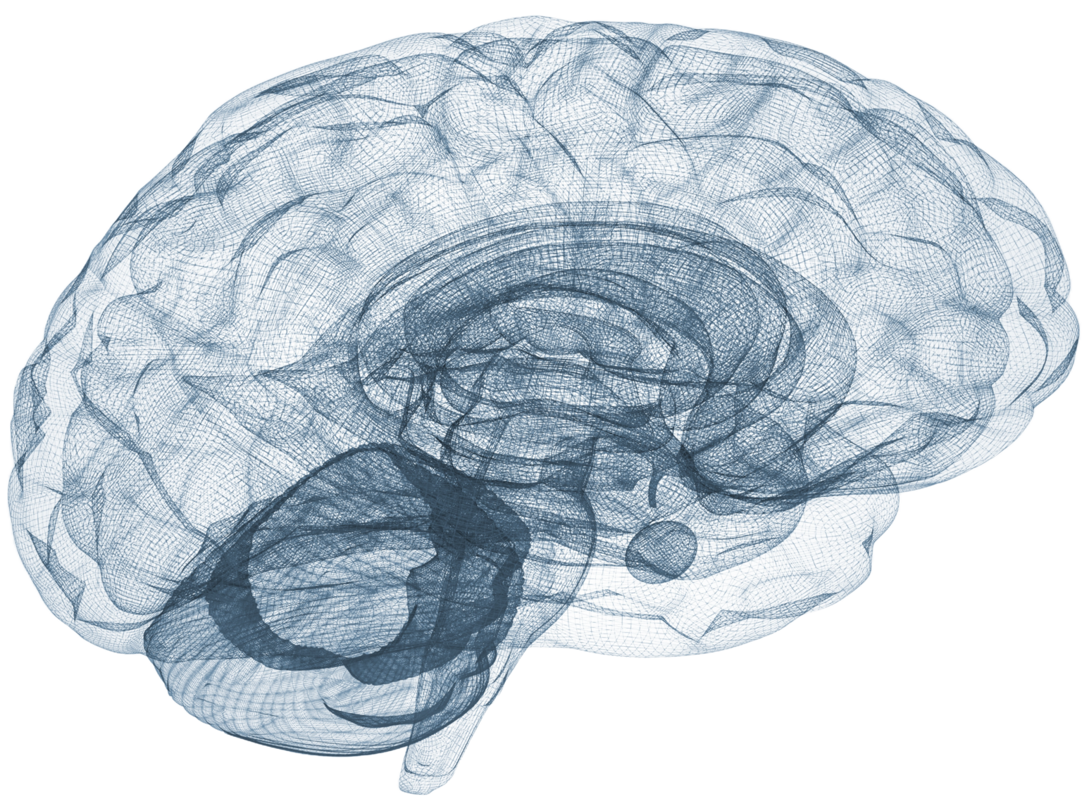 ANZ CONCUSSION GUIDELINES – Australian and Aotearoa New Zealand ...
