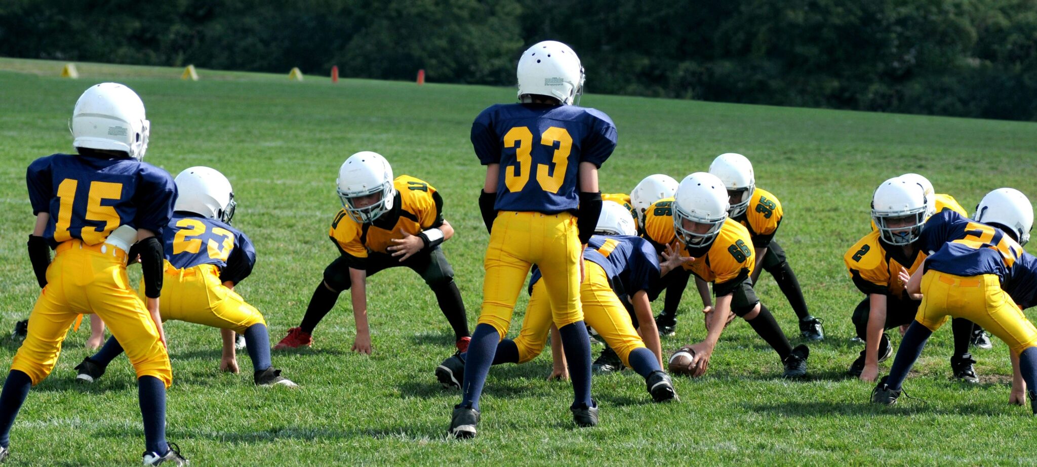 Introduction – ANZ CONCUSSION GUIDELINES